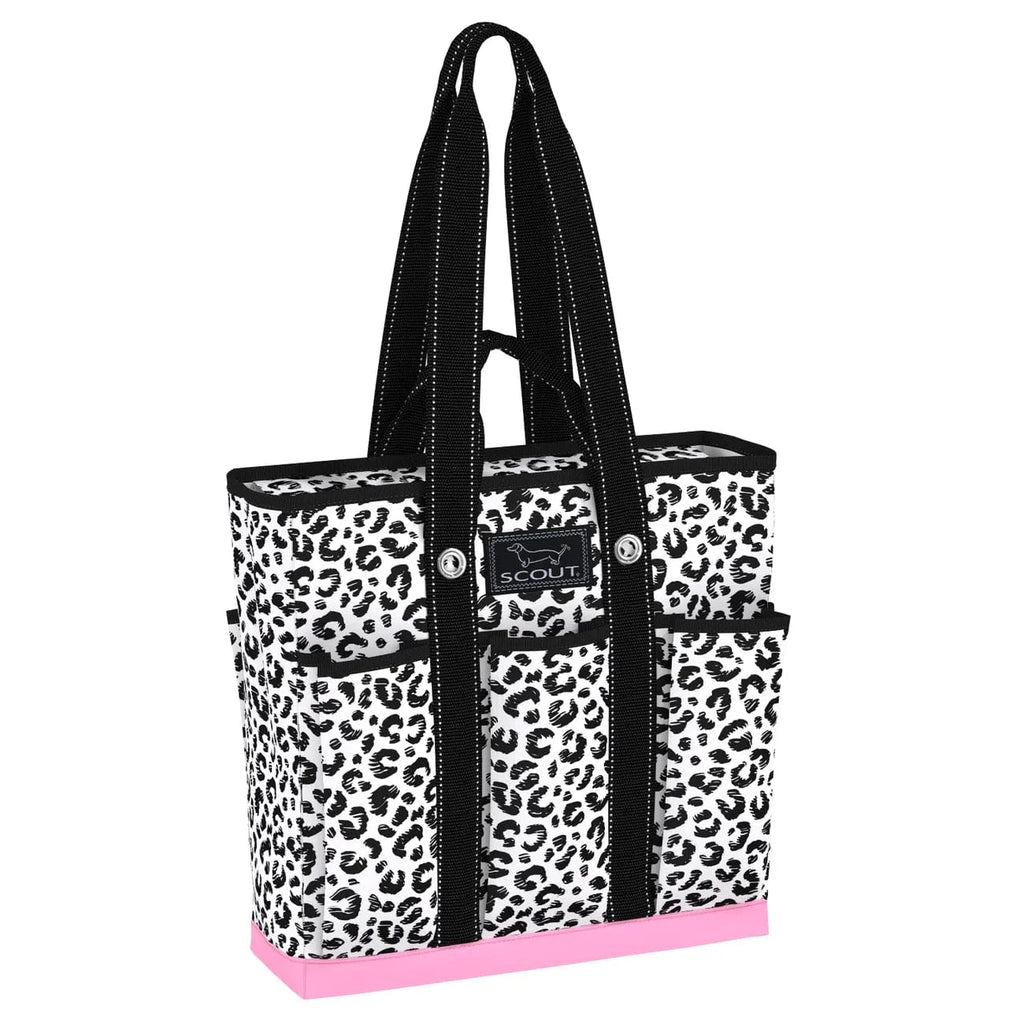 Scout Cat Skills Pocket Rocket