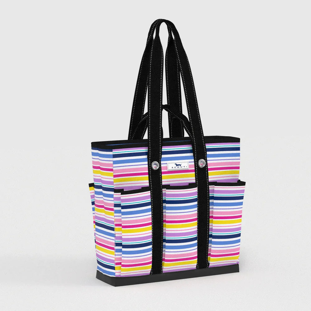 Scout Stripe a Pose Pocket Rocket